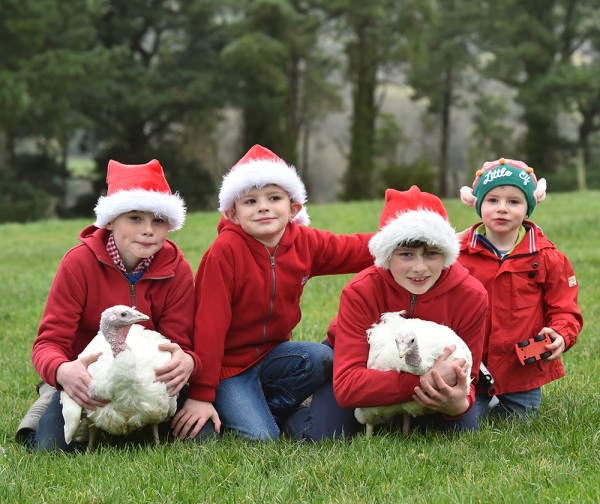 Contact East Ferry Farm, Free Range Poultry Farm in Cork